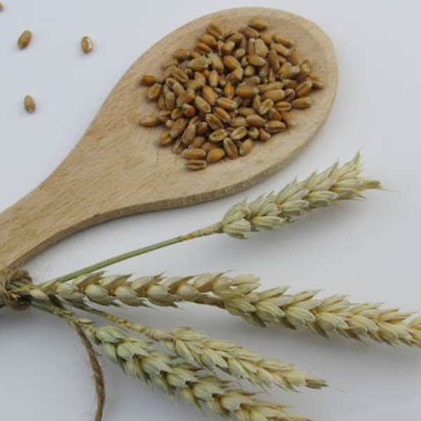 The Whole Grain Guide for Smart Cooker Meals – CHEF iQ