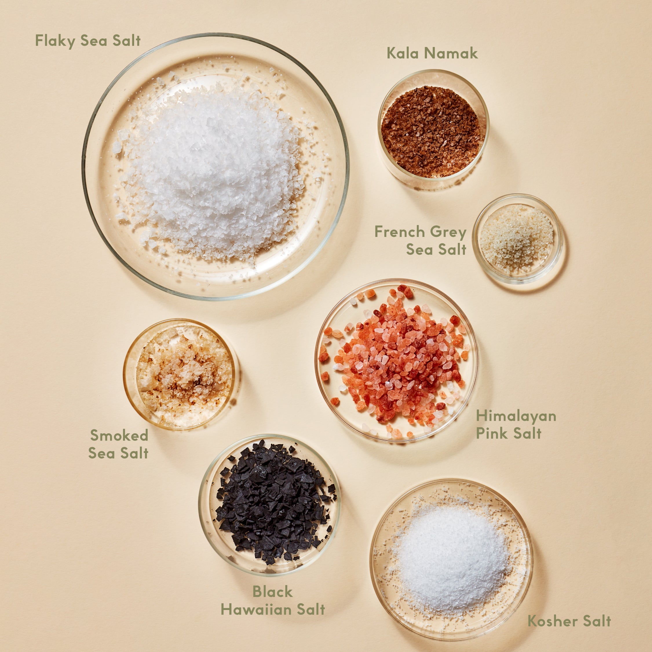 The Scoop on Salt – CHEF iQ