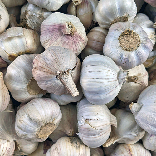 Celebrating National Garlic Month with Bold Flavors – CHEF iQ