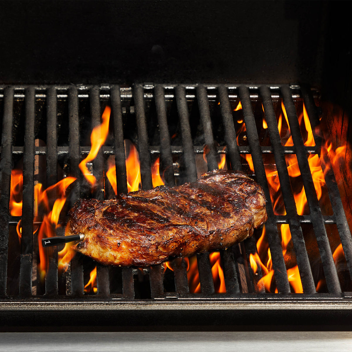 iQ Sense – CHEF iQ